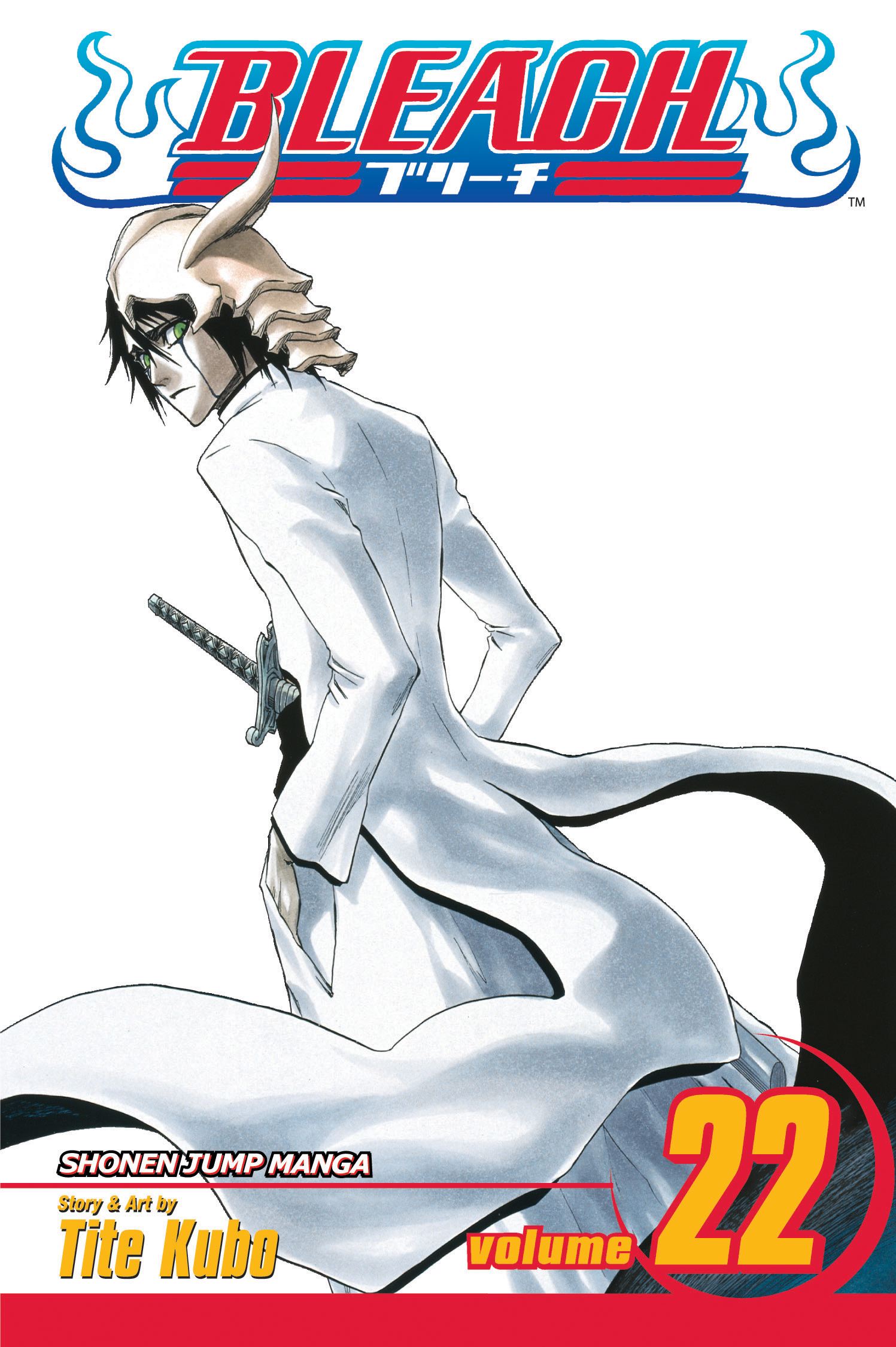 BLEACH 22